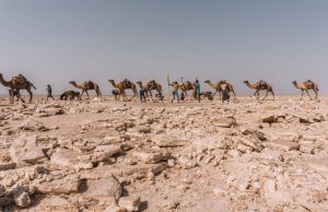 Erta Ale & Dallol: die faszinierendsten Orte in der Danakil-Senke