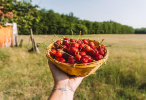 Die Puszta in Ungarn: 7 schöne Tipps zum Erkunden der Natur