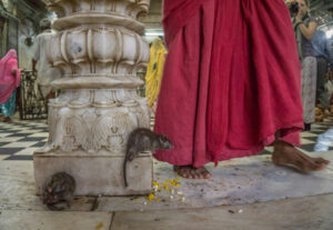 Indien Sehenswürdigkeiten: diese 11 Orte musst du einfach sehen!