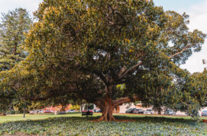 Perth Sehenswürdigkeiten: 15 Tipps für tolle Orte in Westaustralien